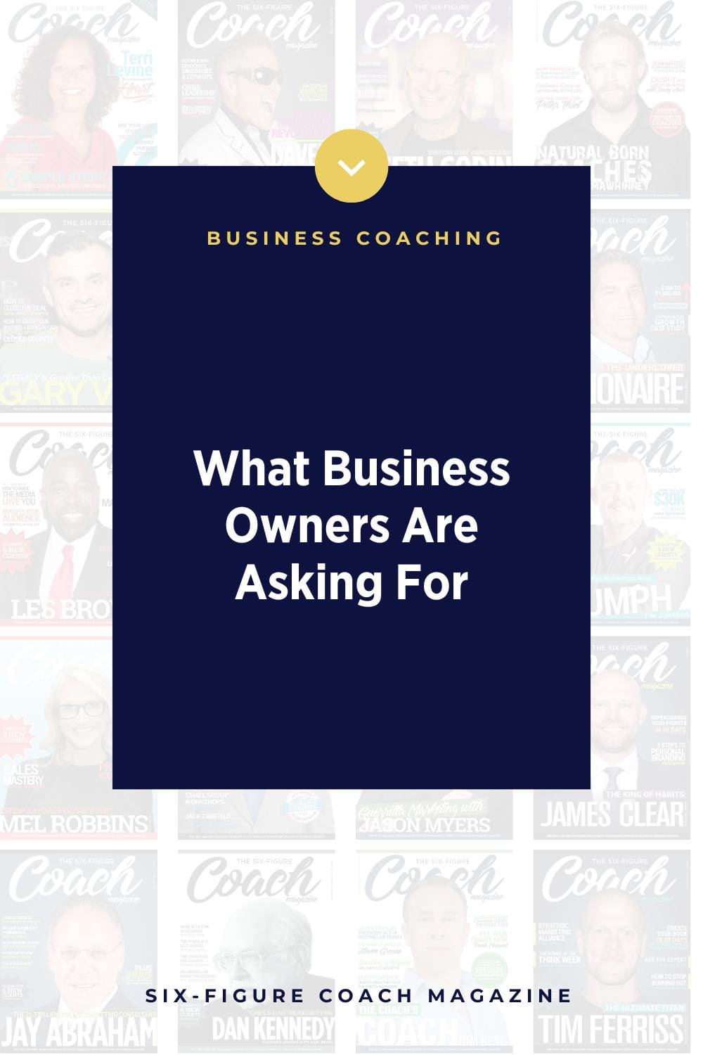 What Business Owners Are Asking For with Terri Levine - The Six-Figure ...